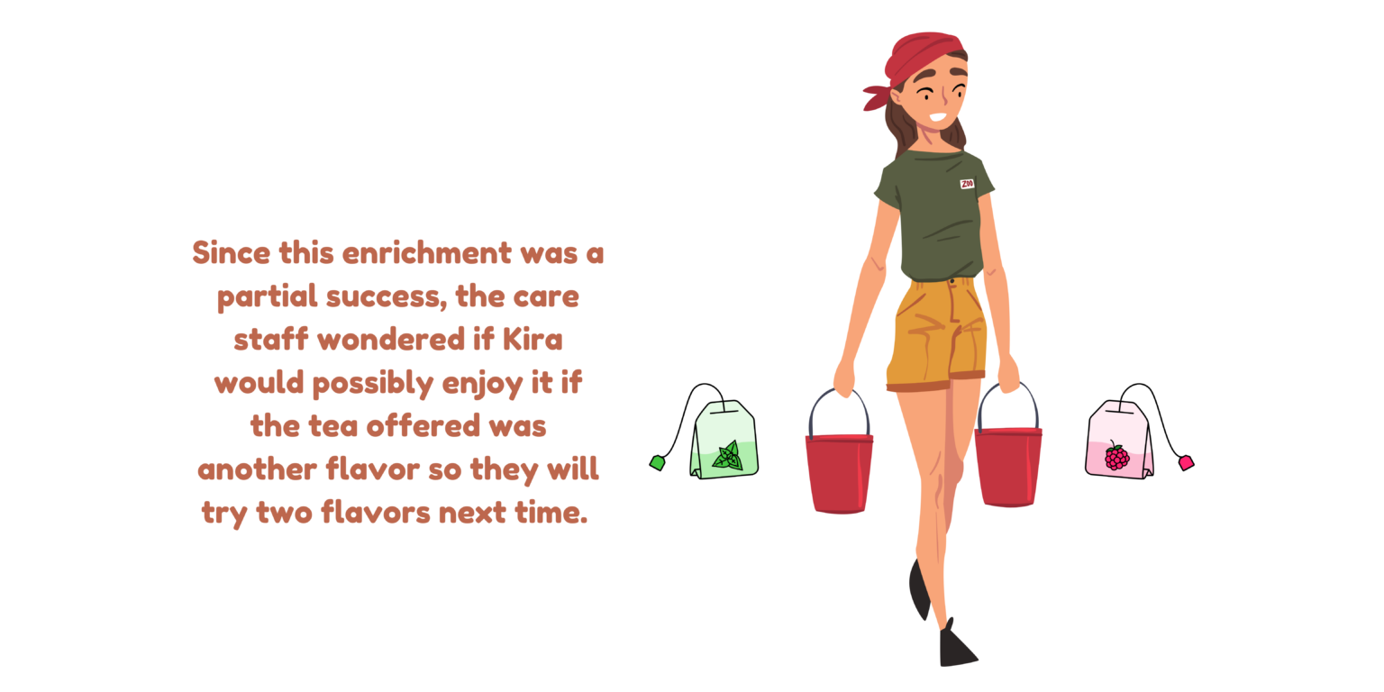 Building A Framework For Your Enrichment Program - The Open Sanctuary Project