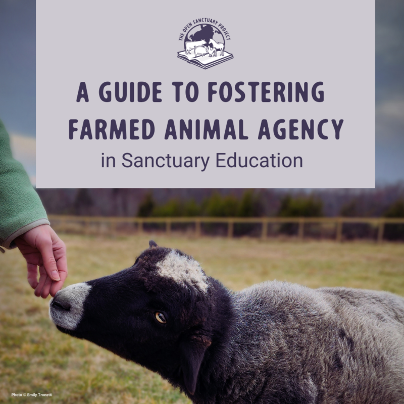 A Guide to Fostering Farmed Animal Agency in Sanctuary Education - The ...