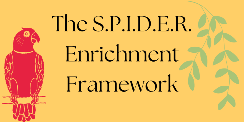The S.P.I.D.E.R Enrichment Framework Infographic - The Open Sanctuary Project