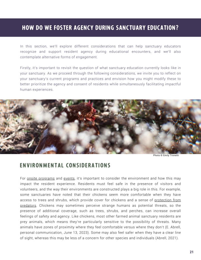 A Guide to Fostering Farmed Animal Agency in Sanctuary Education - The Open Sanctuary Project