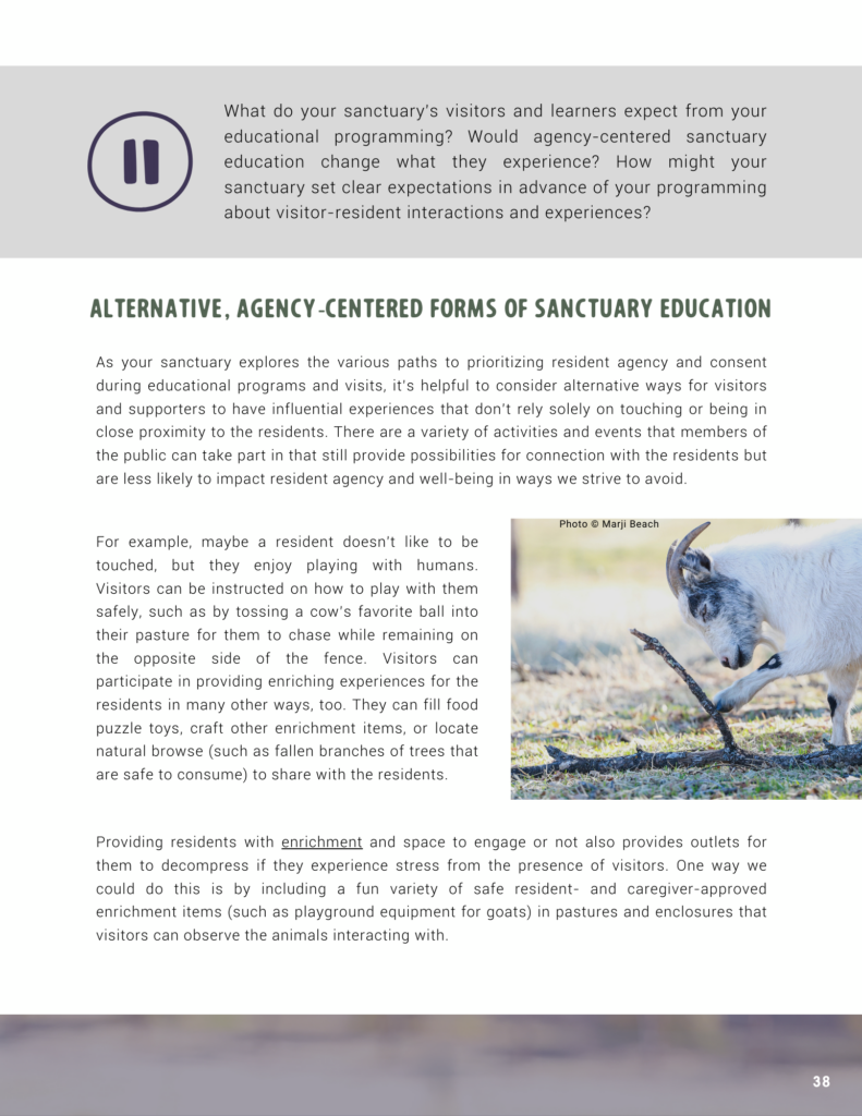 A Guide to Fostering Farmed Animal Agency in Sanctuary Education - The Open Sanctuary Project