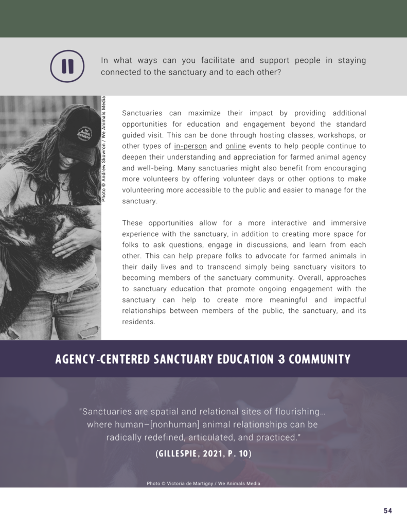 A Guide to Fostering Farmed Animal Agency in Sanctuary Education - The Open Sanctuary Project