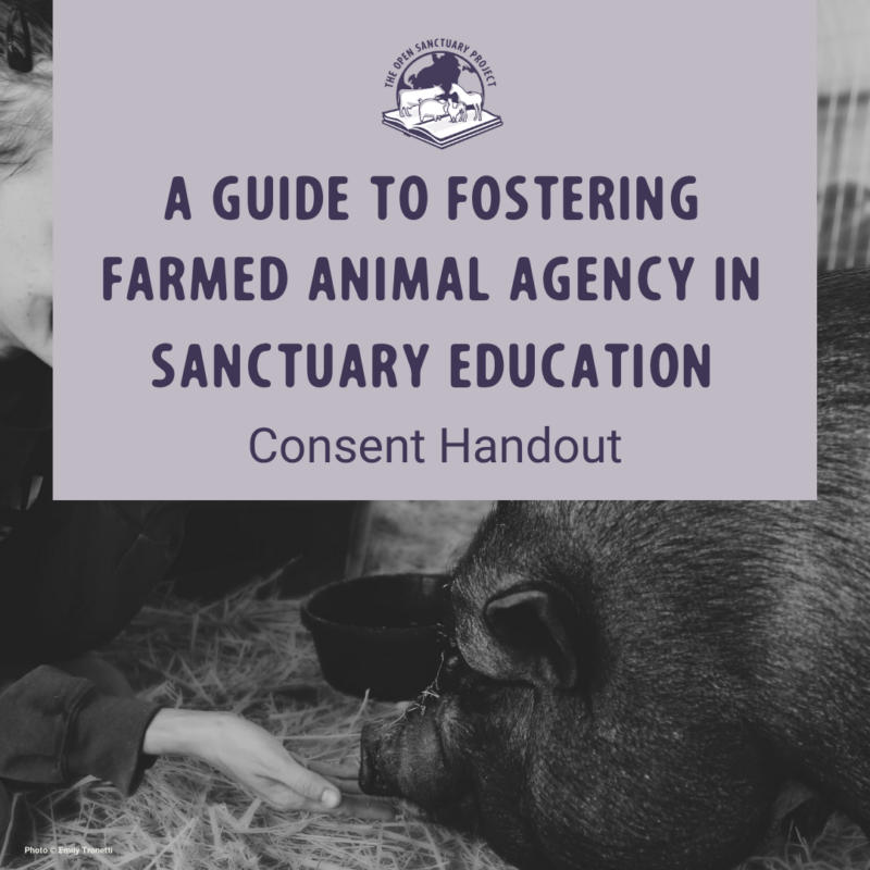 A Guide to Fostering Farmed Animal Agency in Sanctuary Education ...