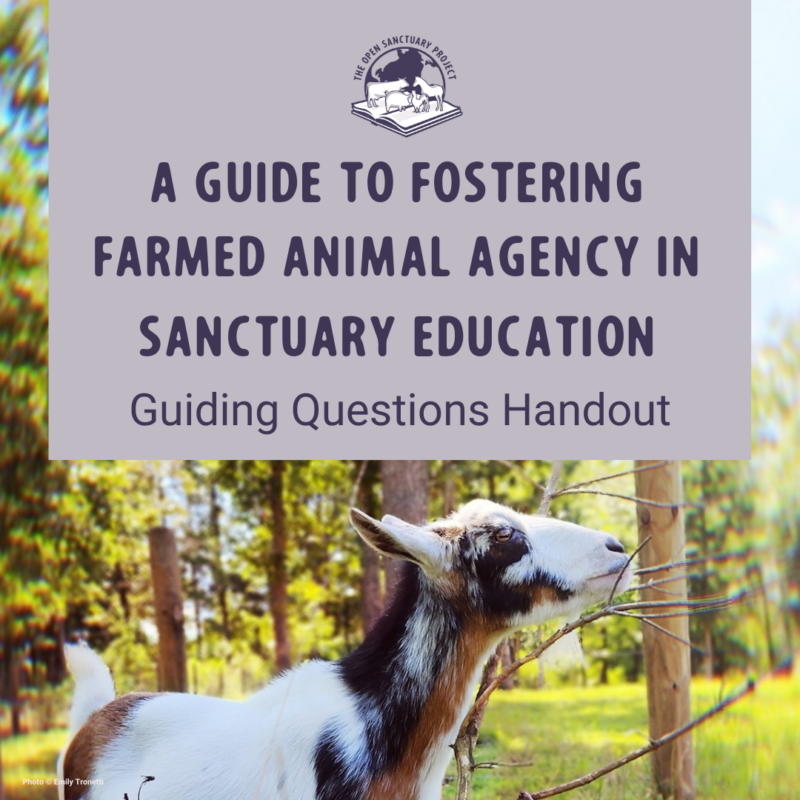 A Guide to Fostering Farmed Animal Agency in Sanctuary Education ...