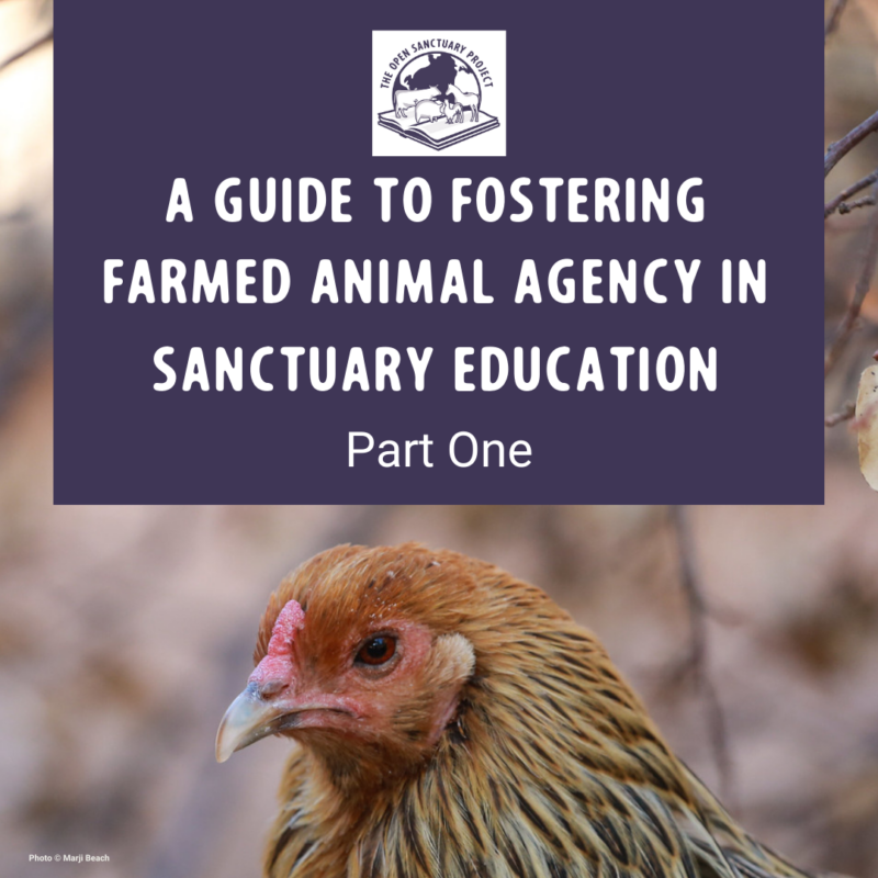 A Guide to Fostering Farmed Animal Agency in Sanctuary Education: Part ...