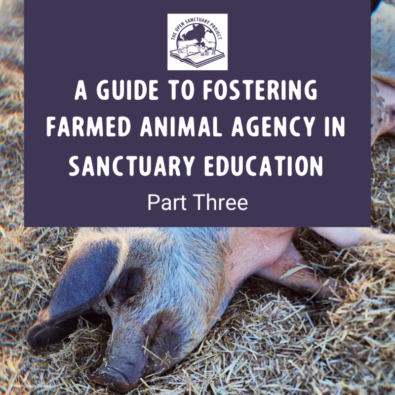 A Guide to Fostering Farmed Animal Agency in Sanctuary Education: Part ...