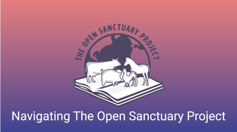 How to Navigate the Open Sanctuary Project's Website - The Open Sanctuary Project